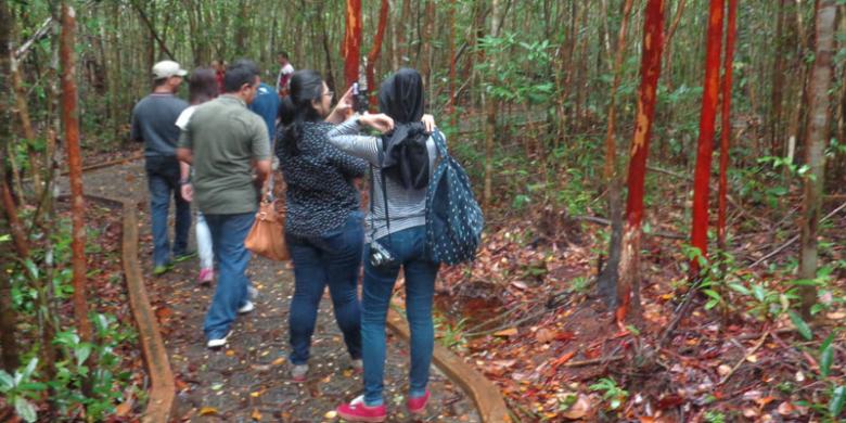 Pesona Hutan Pelawan di Bangka Tengah - Bangkapos.com